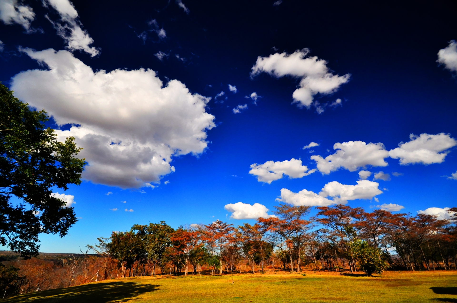 African skies – rinocaloriph & DJ